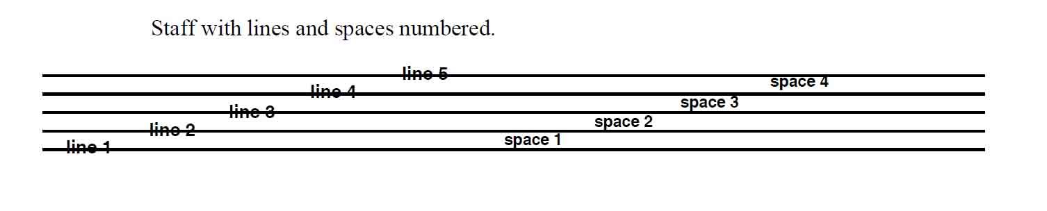 Fundamentals of Music Theory 101 (Made Easy)
